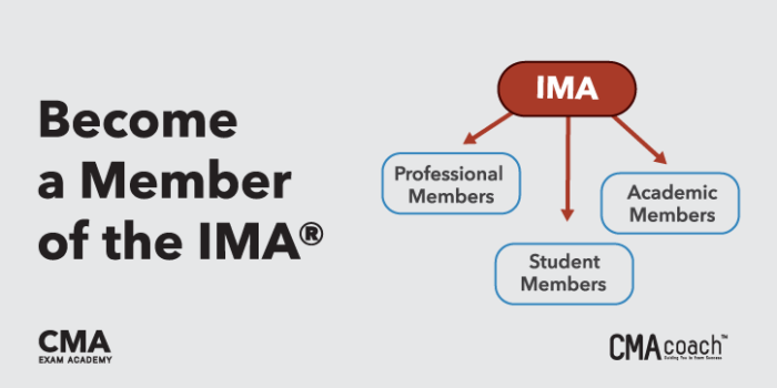 Everything You Need to Know About How to Become a CMA | CMA Coach